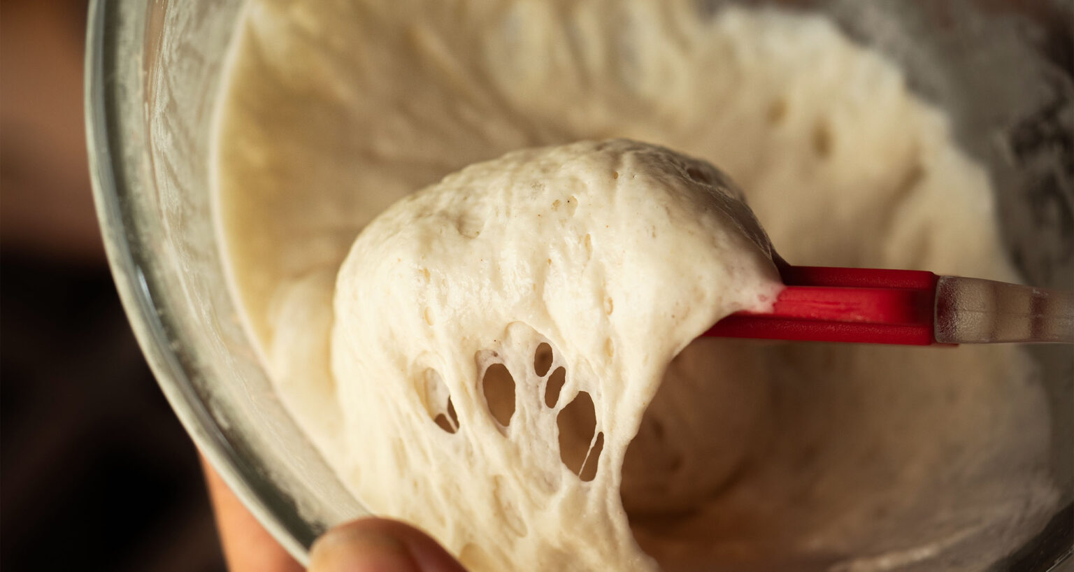 Ferment your food: A DIY guide to flavor and health - Refinelife