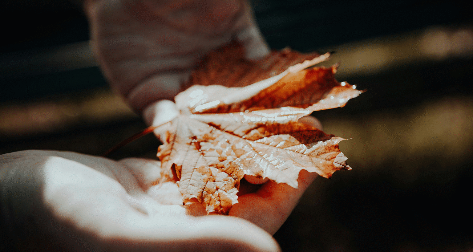 Autumn reset routine - Refinelife