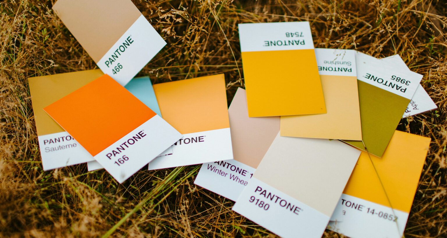 How to dress with the Pantone color palettes for every season - Refinelife