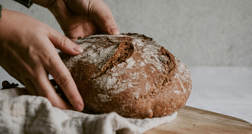Sourdough starter: Where to begin - Refinelife